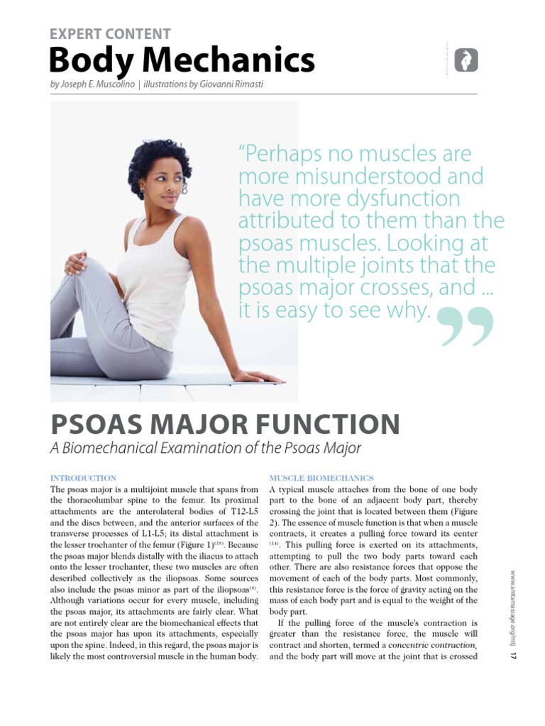 A Biomechanical Examination of the Psoas Major Muscle: Understanding ...