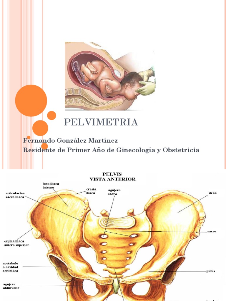 PELVIMETRÍA | PDF | Pelvis | Anatomía