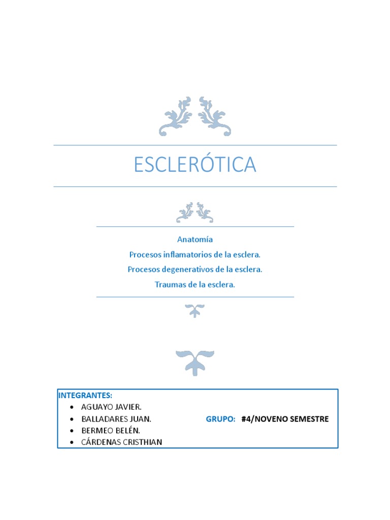 Procesos inflamatorios y degenerativos de la esclerótica | PDF | Ojo ...