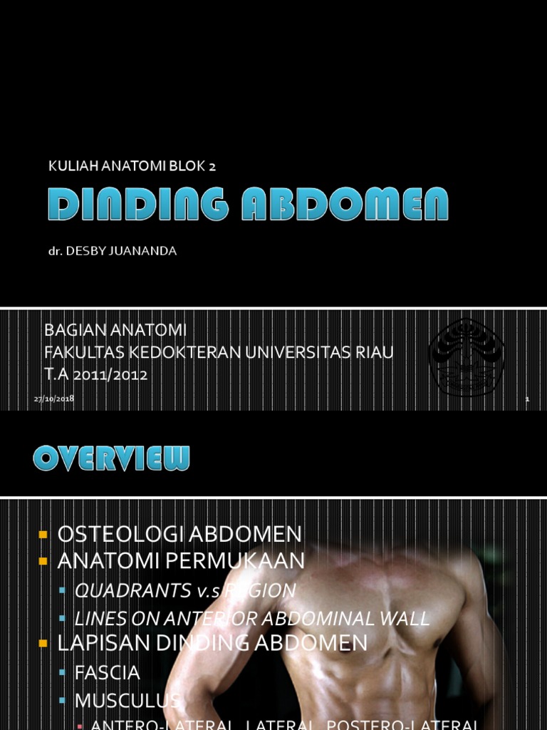 Kuliah Dinding Abdomen | PDF