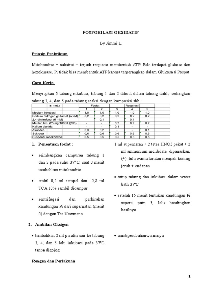Fosforilasi Oksidatif | PDF