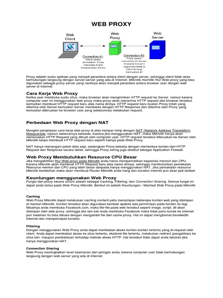 Web Proxy | PDF