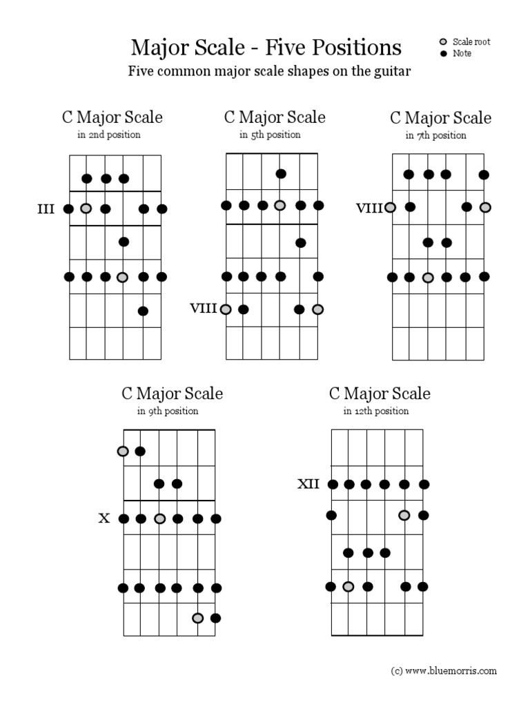 Major Scale 5 Forms Guitar | PDF