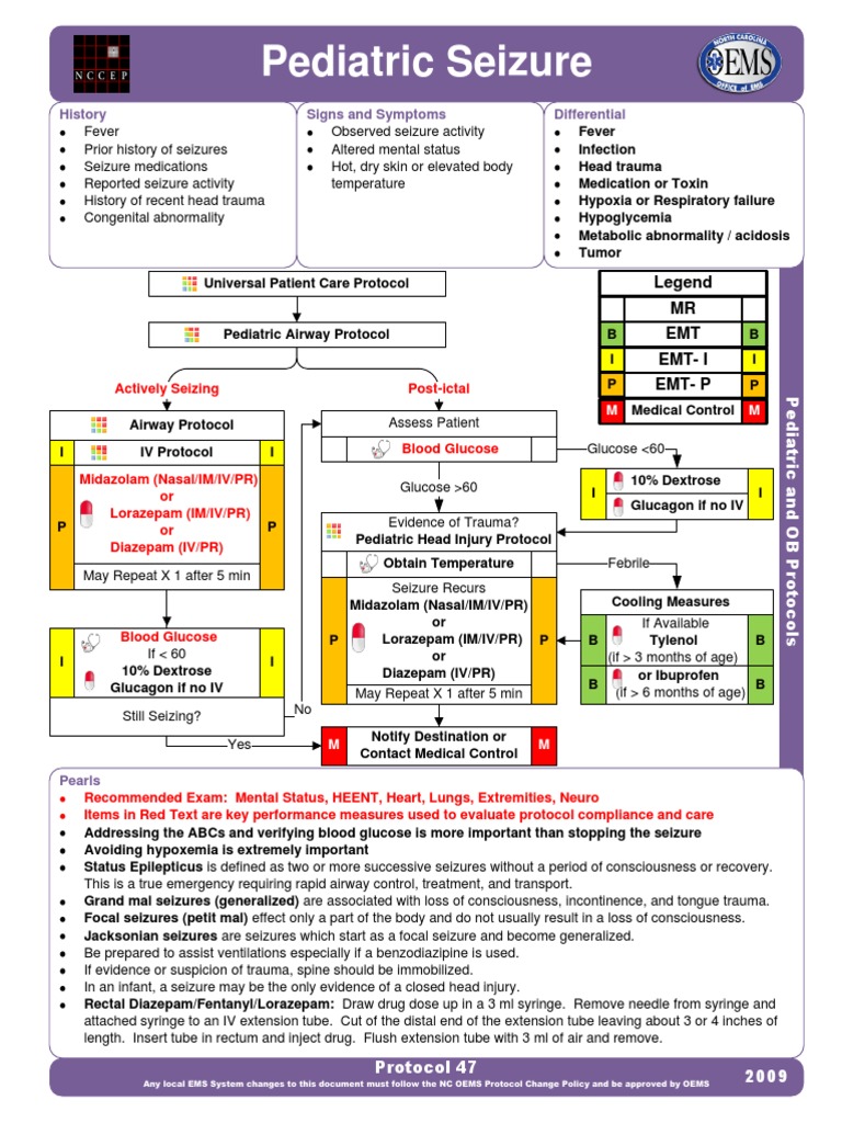2 Types of Seizures | PDF | Fever | Hypoglycemia
