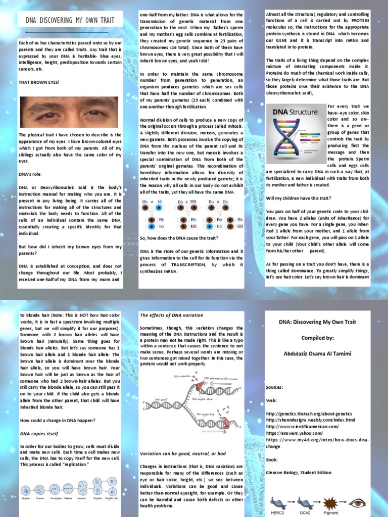 Dna: Discovering My Own Trait: That Brown Eyes! | PDF | Gene ...