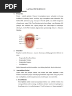 LP TONSILOFARINGITIS AKUT (Revisi 2) | PDF