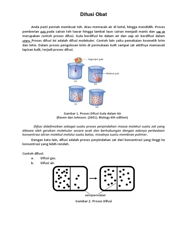 Proses Difusi dalam Sel dan Obat | PDF | Pengembangan Diri | Kesehatan ...