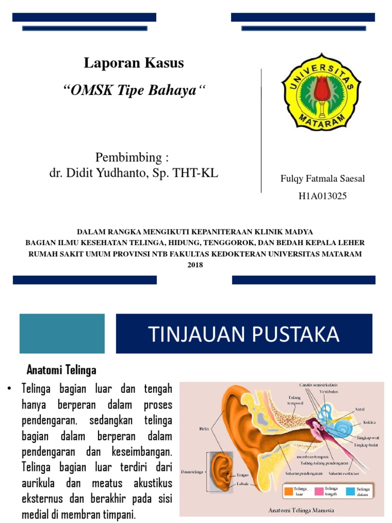 OMSK Tipe Bahaya | PDF