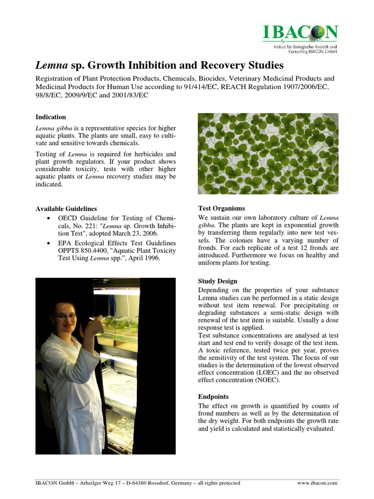 Lemna Sp. Growth Inhibition and Recovery Studies: Indication | PDF ...
