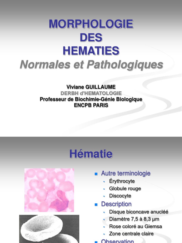 Biochimie | PDF | Globule rouge | Sang