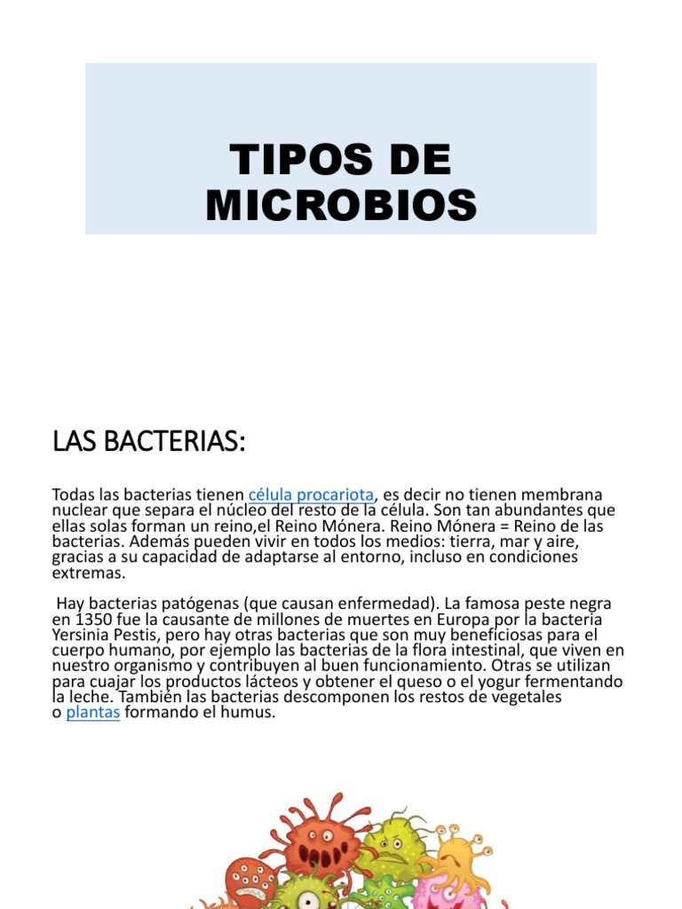 Tipos de Microbios y sus Características | PDF | Archaea | Las bacterias