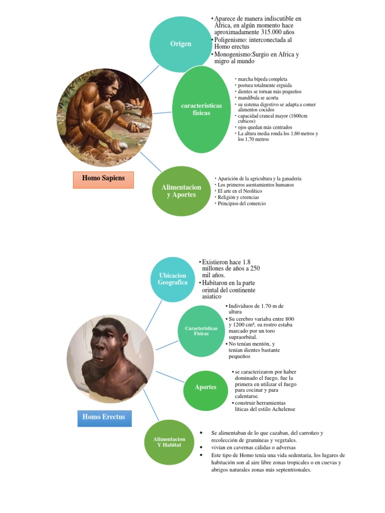 Homo Sapien | PDF | Homo | Épocas geológicas