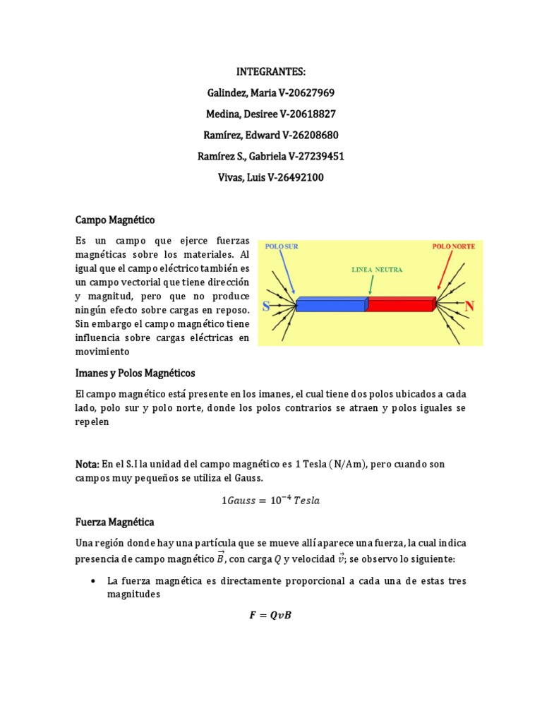 TRABAJO GRUPO 1 Campos Magneticos | PDF | Campo magnético | Magnetismo