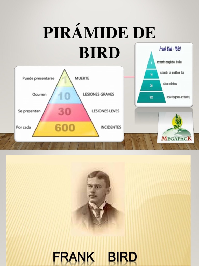 Piramide de Bird 1 | PDF | Seguridad | Perros
