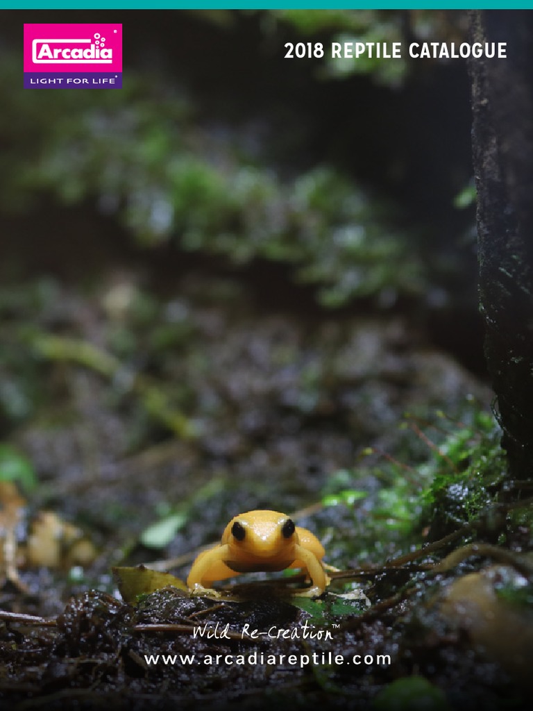 Arcadia Reptile 2018 PDF | PDF | Lizard | Dietary Supplements