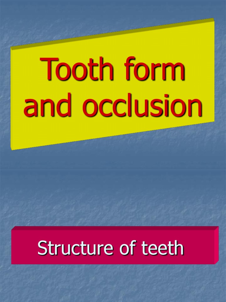 Tooth Structure and Occlusion Explained | PDF | Dentin | Tooth Enamel