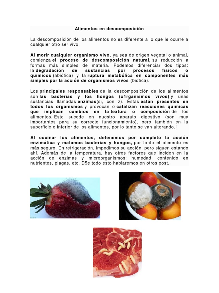 Alimentos en Descomposición | PDF