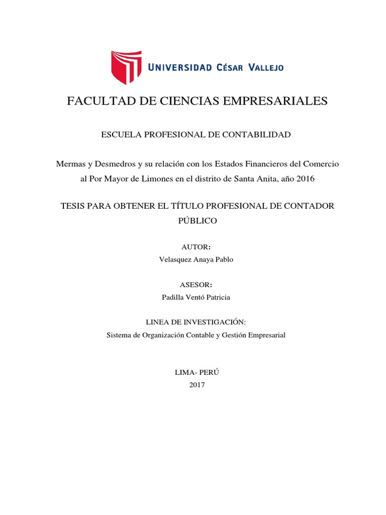 Relacion de Merma y Desmedro | PDF | Impuesto sobre la renta | Contabilidad