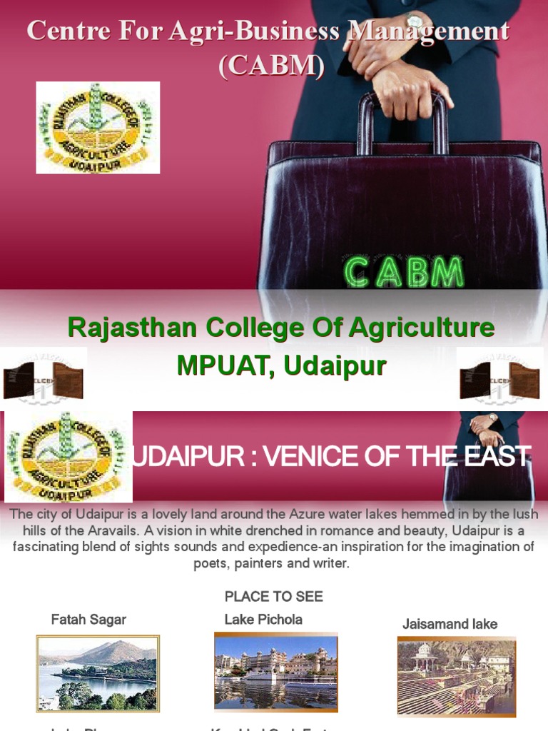 Cabm PPT 1 | PDF | Economies | Industries