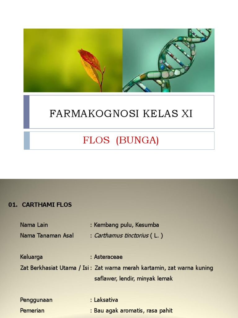 Flos | PDF