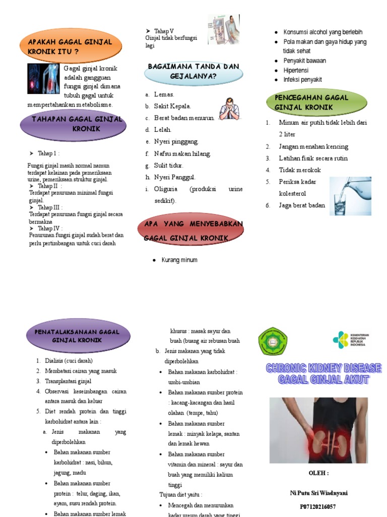 Leaflet CKD | PDF