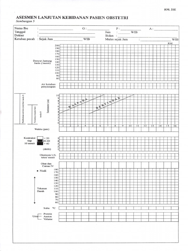 Formulir Partograf | PDF