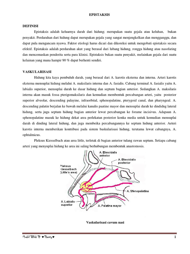 Epitaksis 2 | PDF | Kesehatan Holistik