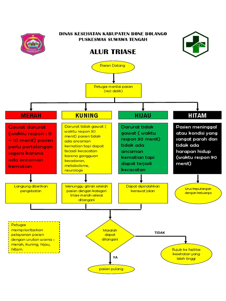 Alur Triase | PDF