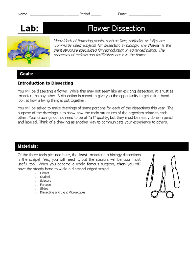 Lab - Flower Dissection | Flowers | Petal