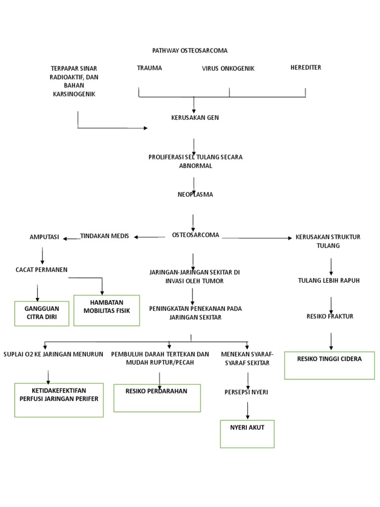 Pathway Osteosarcoma | PDF