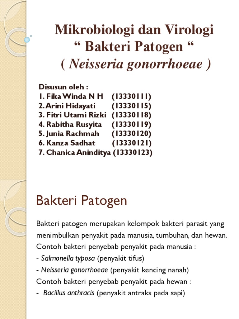 PPT Bakteri Patogen | PDF