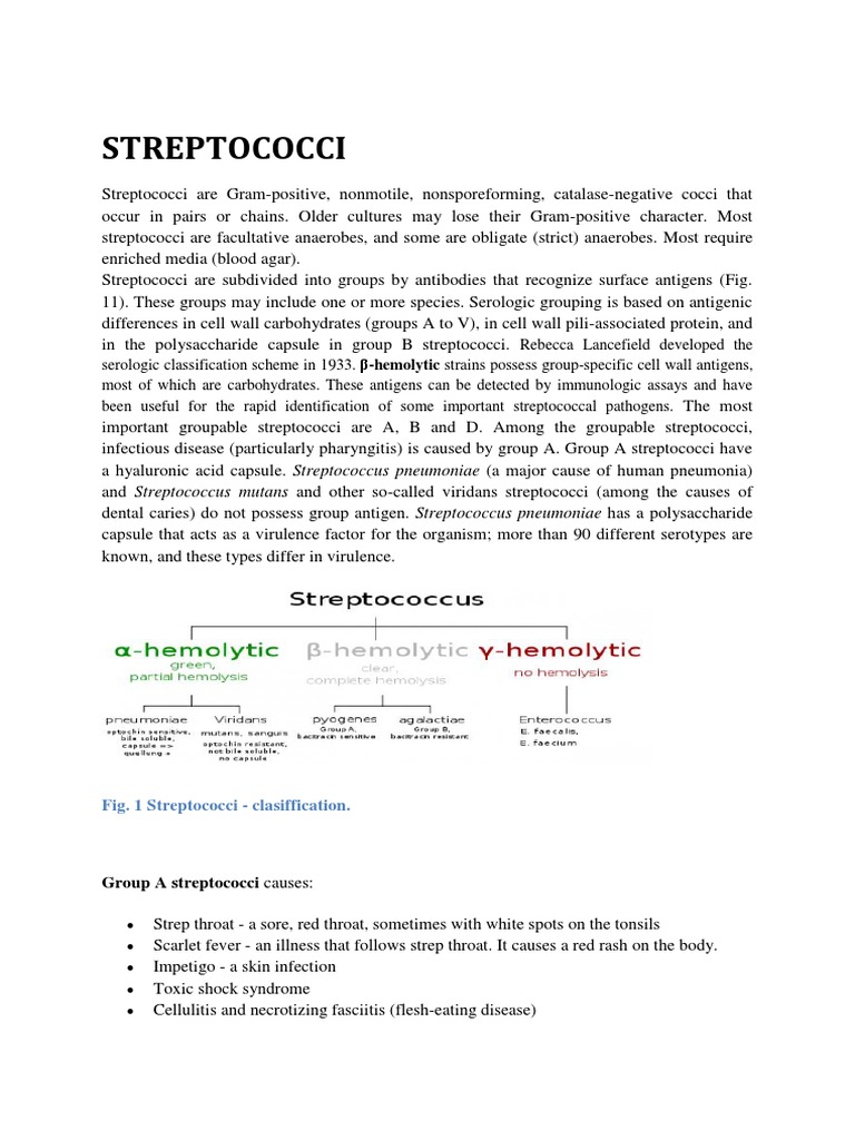 Fig. 1 Streptococci - Clasiffication | Download Free PDF | Streptococcus | Immunology