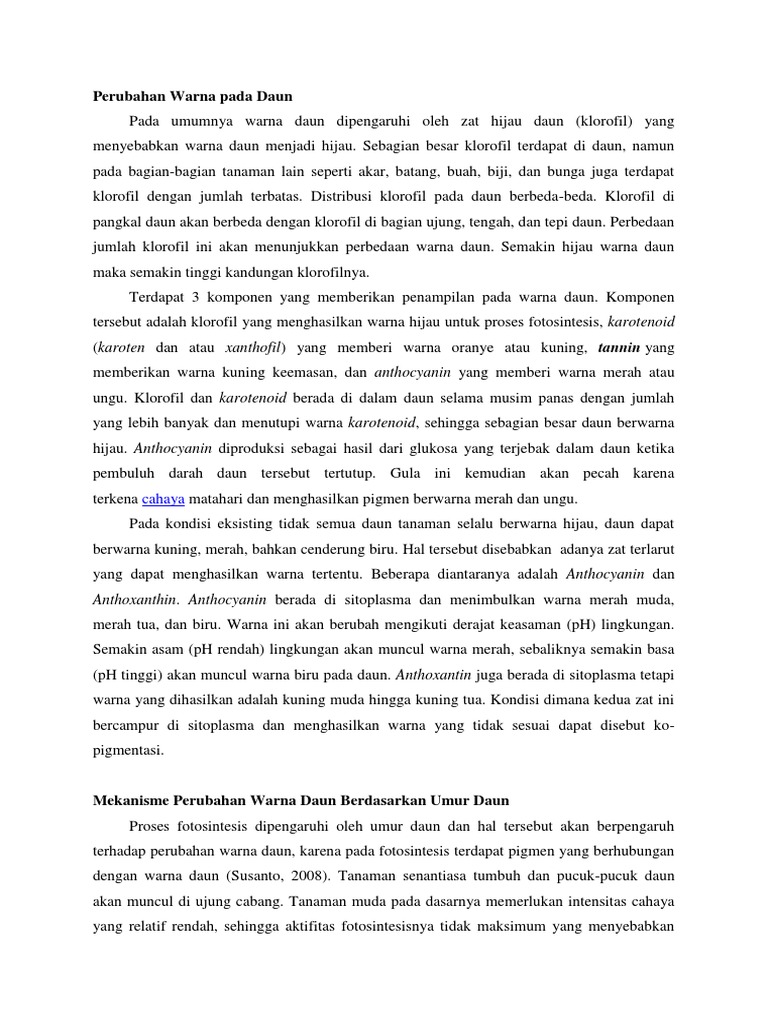 Perubahan Warna Pada Daun | PDF