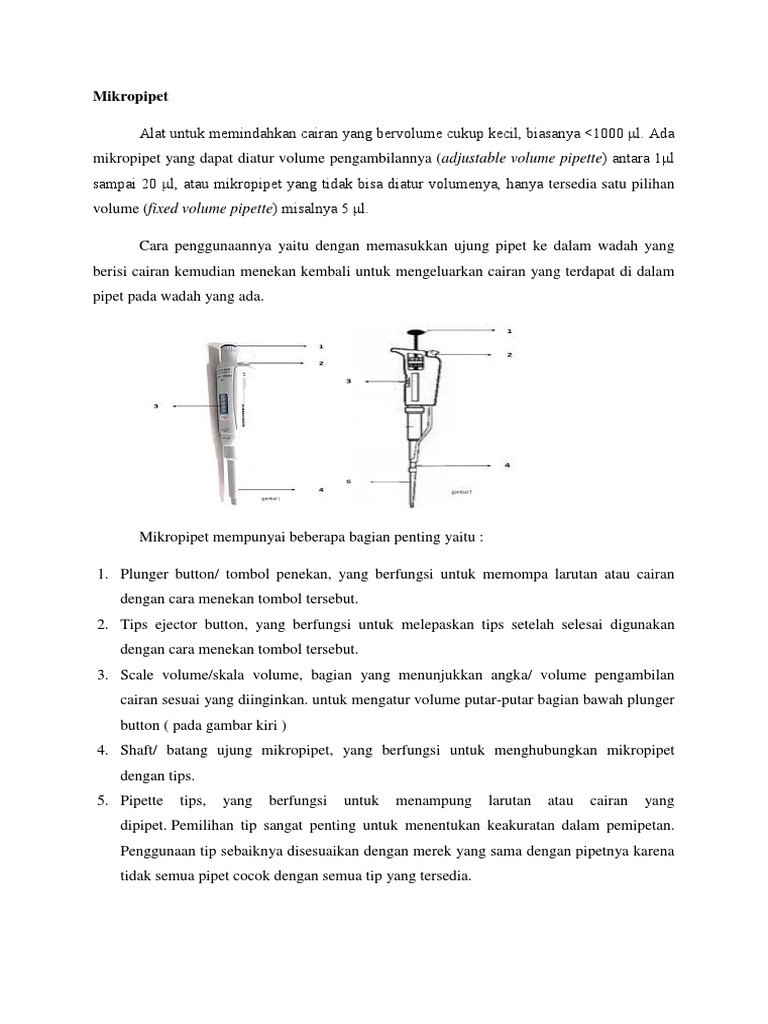 Mikropipet | PDF