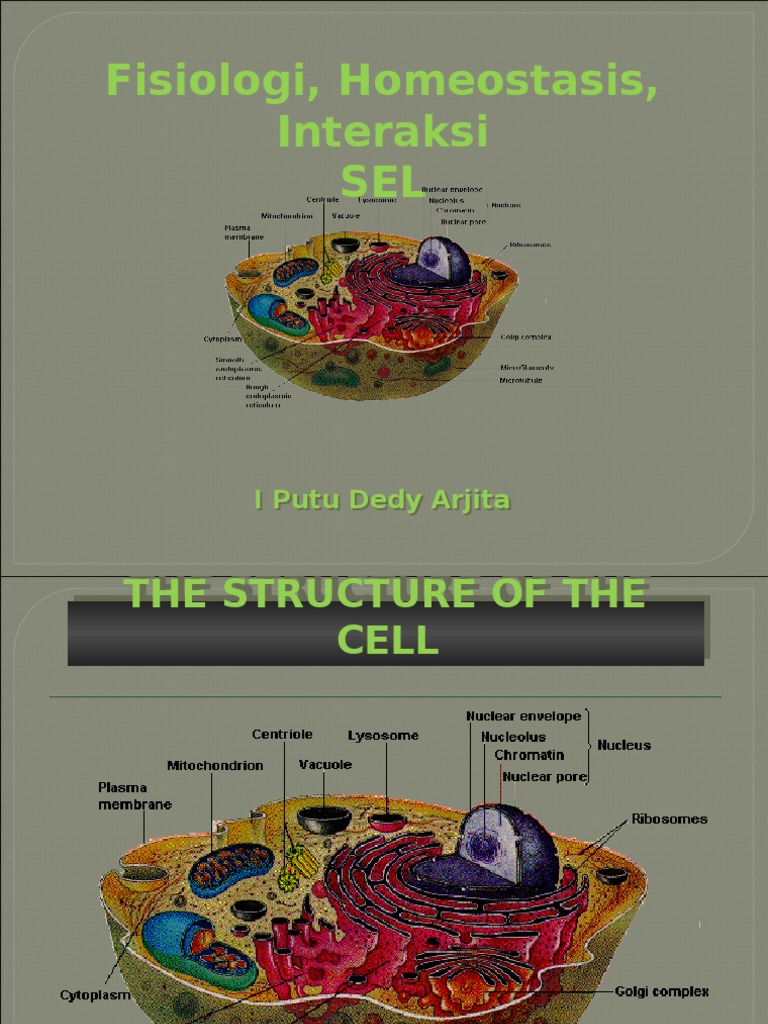 Fisiologi Sel, Homeostasis Dan Interaksi Sel-BCBBiomedik-PW2013 | PDF