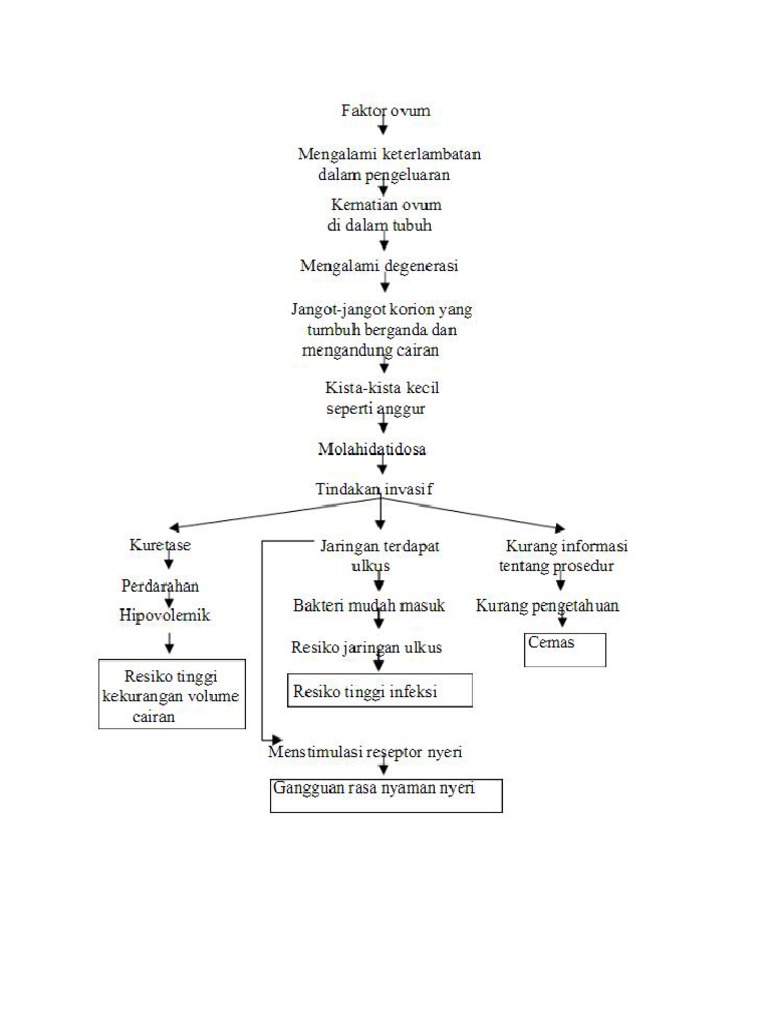 Pathway Mola | PDF