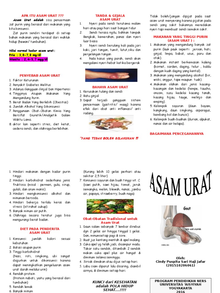 Leaflet Asam Urat | PDF