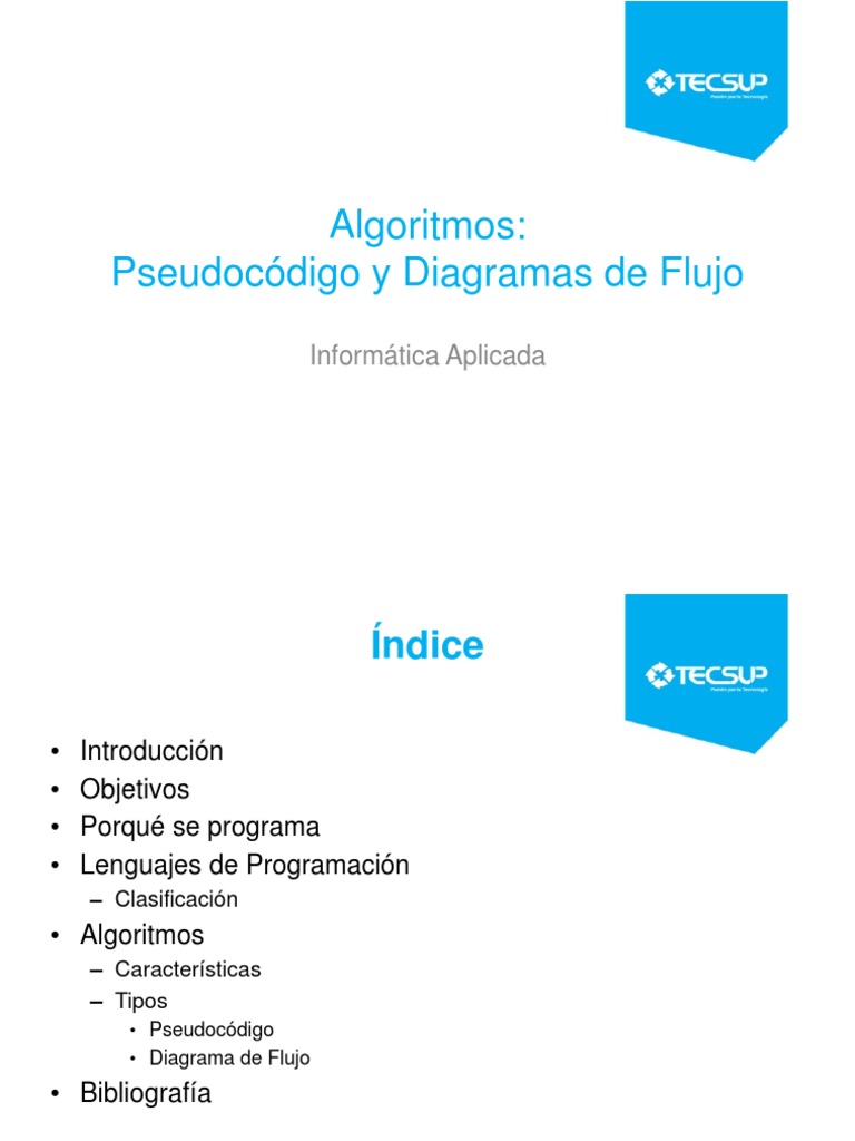 13 - Algoritmos PDF | PDF | Algoritmos | Lenguaje de programación