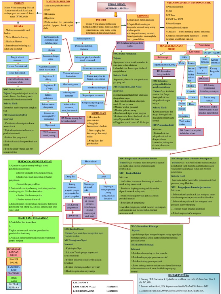 Revised-WOC Tumor Wilms PDF | PDF