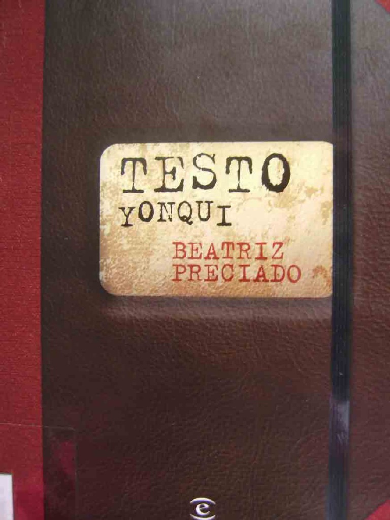 Testo Yonqui 1 | PDF