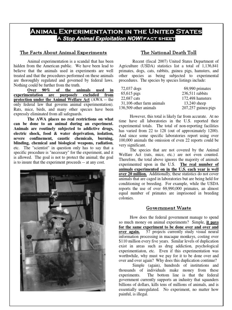 SAEN Vivisection Facts 2009 | PDF | Animal Testing | Experiment