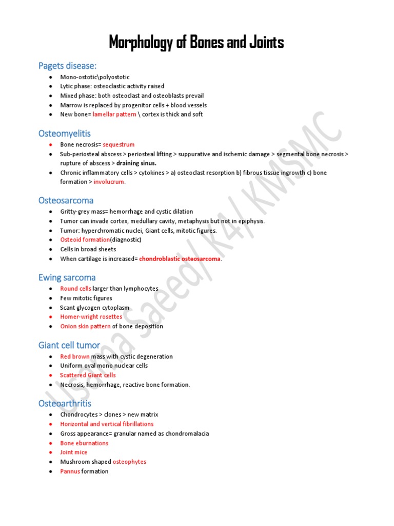 Morpho of Bone Joint | PDF | Bone | Joint