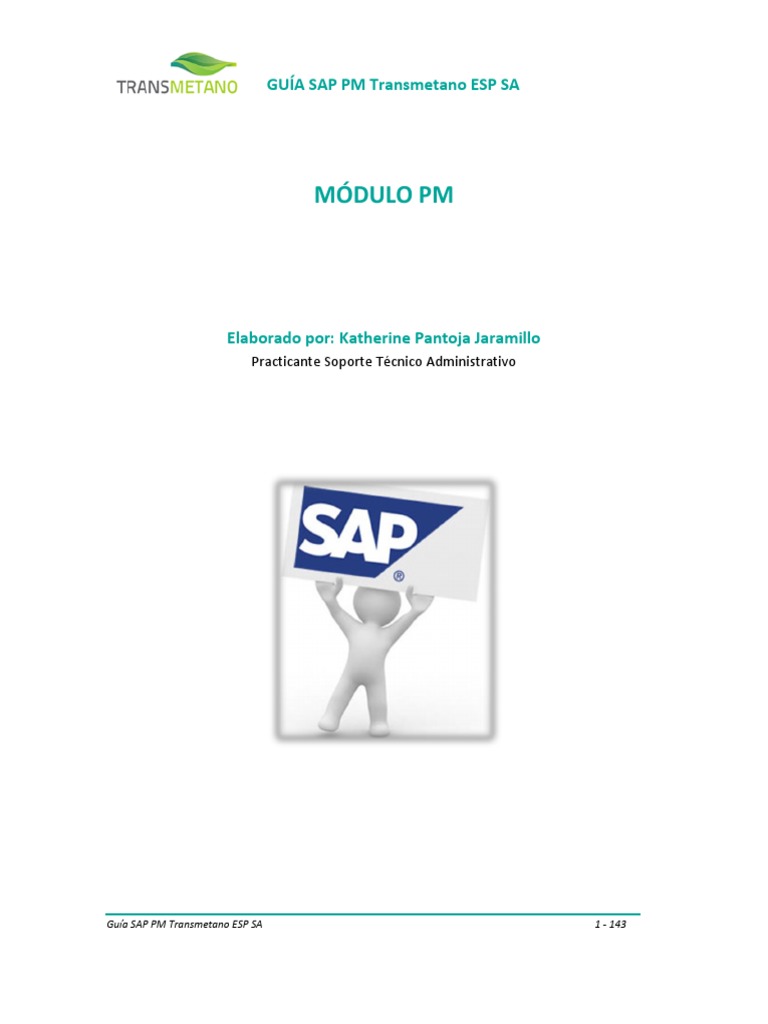 Guia Sap PM | PDF | Scada | Sap Se