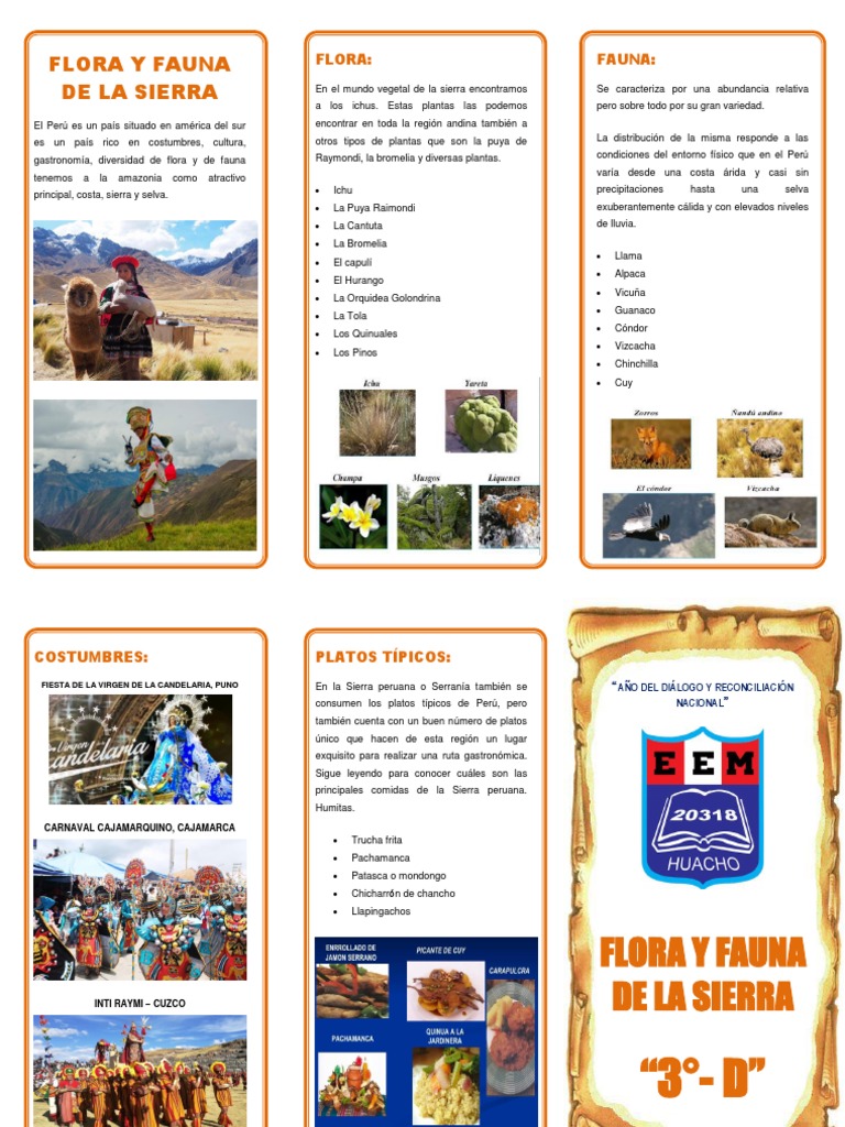 Triptico Sierra | PDF | Perú | Naturaleza