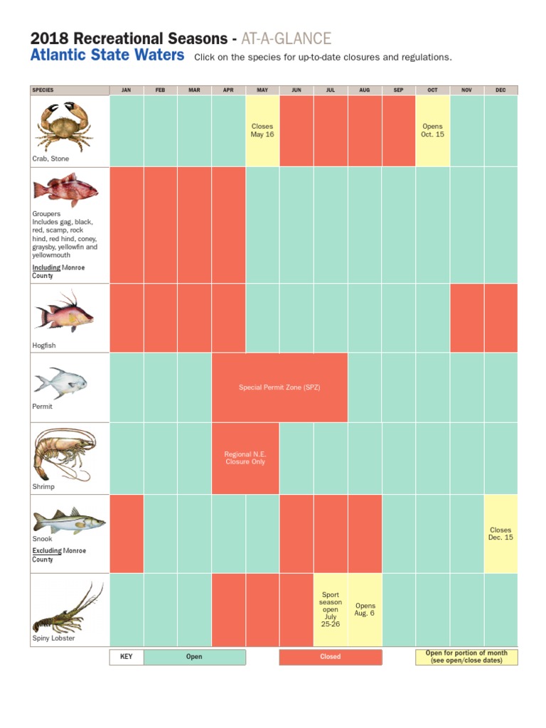 Atlantic Recreational Saltwater Fishing Regulations | PDF | Atlantic ...