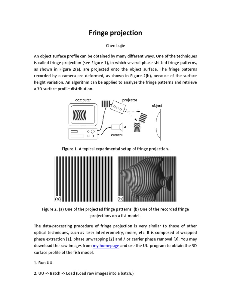 Fringe Projection: My Homepage | PDF | Interferometry | Optics