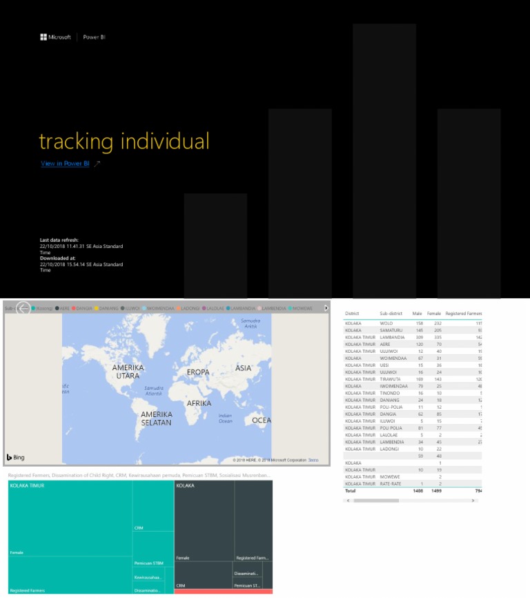 Tracking Individual | PDF