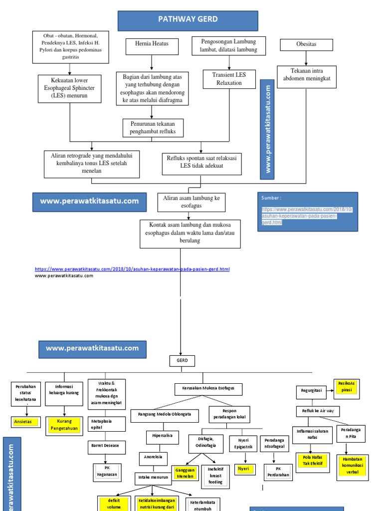 Pathway GERD | PDF