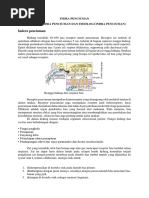 Anatomi dan Fisiologi Indra Penciuman | PDF