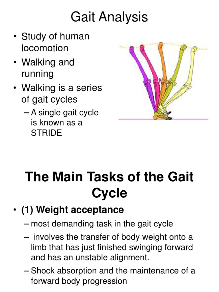 Gait Analysis Presentation | PDF | Foot | Anatomical Terms Of Motion